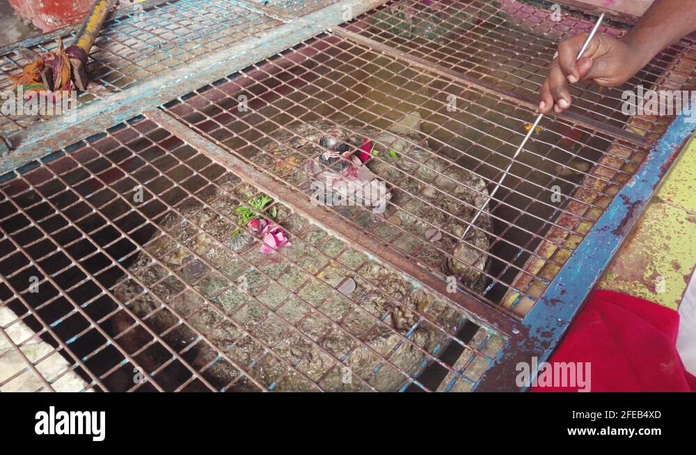 Ram setu bridge Stock Videos & Footage - HD and 4K Video Clips - Alamy