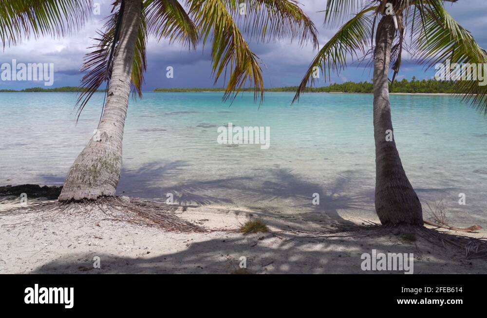 Tropical beach on remote motu Stock Videos & Footage - HD and 4K Video ...