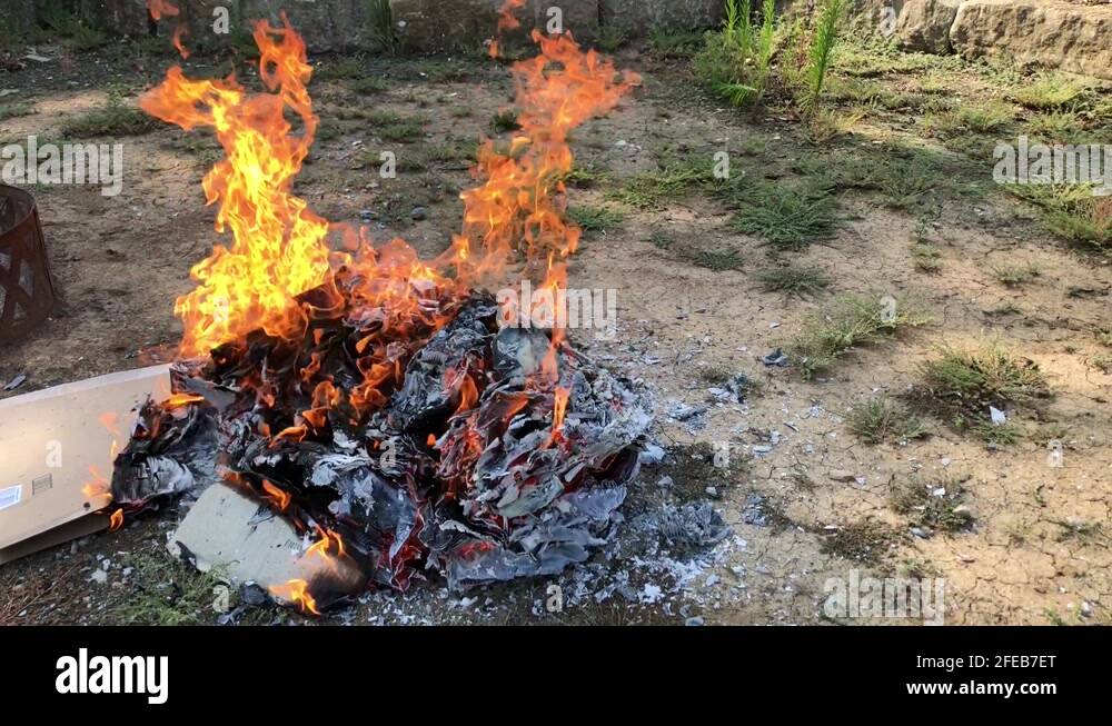 Trash weed Stock Videos & Footage - HD and 4K Video Clips - Alamy