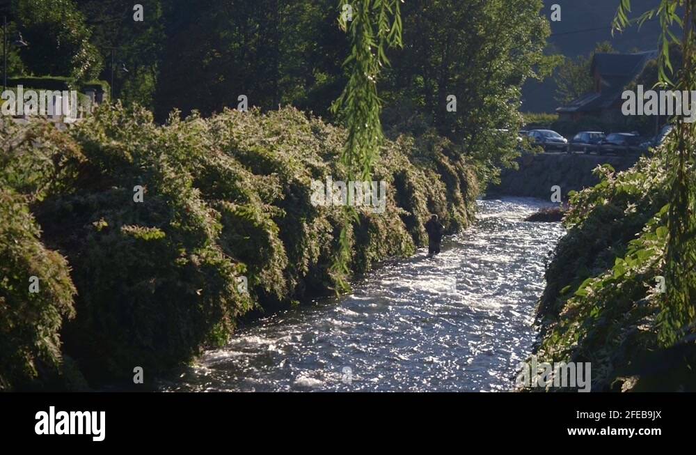 Fishing around trees Stock Videos & Footage - HD and 4K Video Clips - Alamy