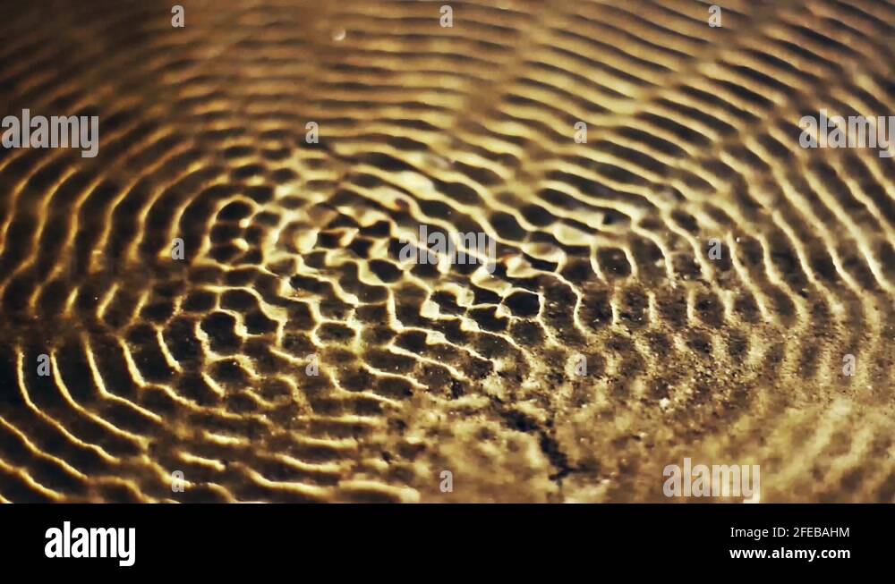 Cymatics patterns Stock Videos & Footage - HD and 4K Video Clips - Alamy