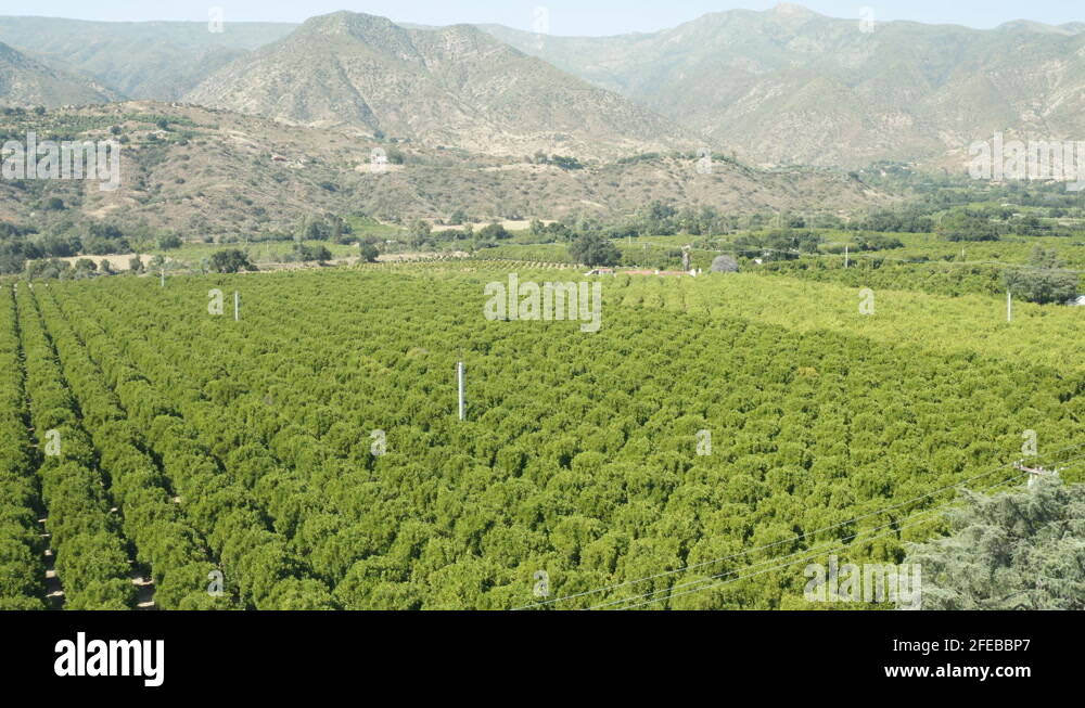 Vegetable orchard Stock Videos & Footage - HD and 4K Video Clips - Alamy