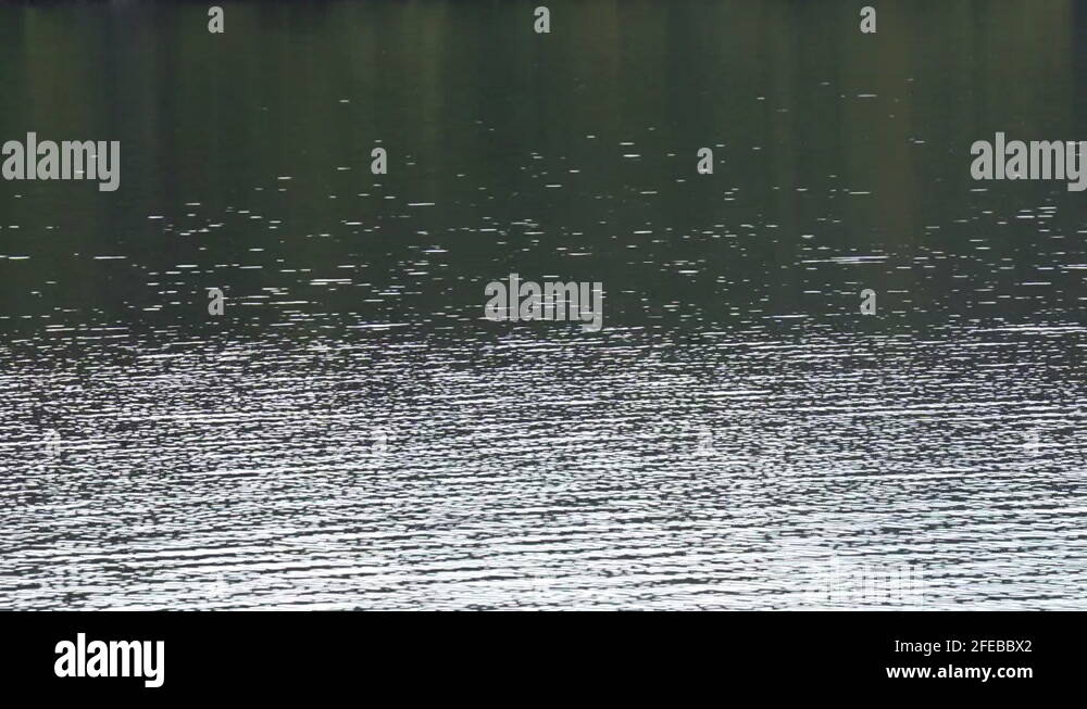 Shimmering water surface light reflections Stock Videos & Footage - HD ...