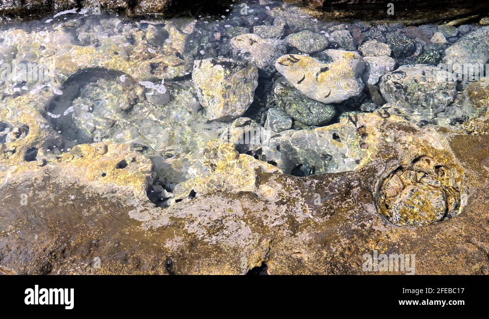 Puddle of clear fresh water Stock Videos & Footage - HD and 4K Video ...