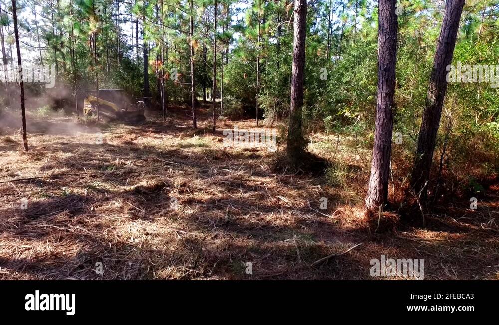 Clearing bush tractor Stock Videos & Footage - HD and 4K Video Clips ...