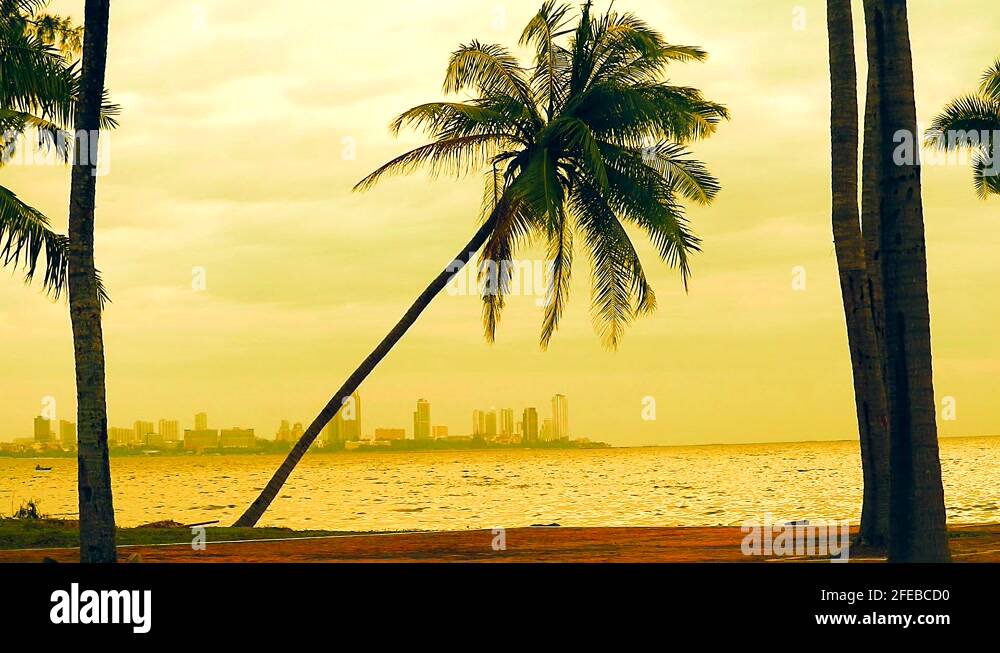 Lean back water Stock Videos & Footage - HD and 4K Video Clips - Alamy