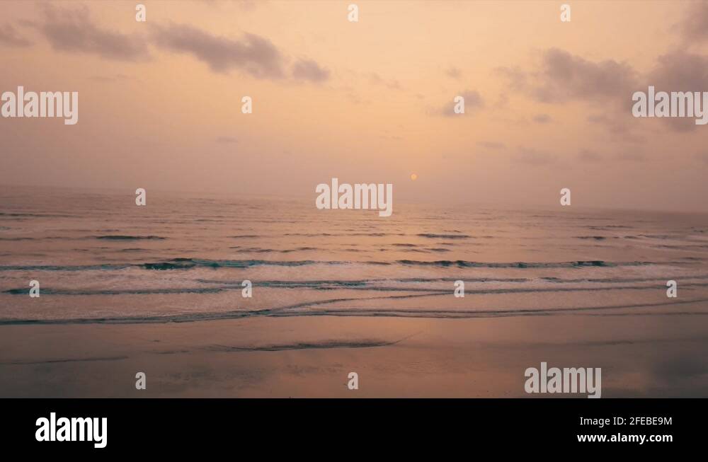 Indian sunset wildlife Stock Videos & Footage - HD and 4K Video Clips ...