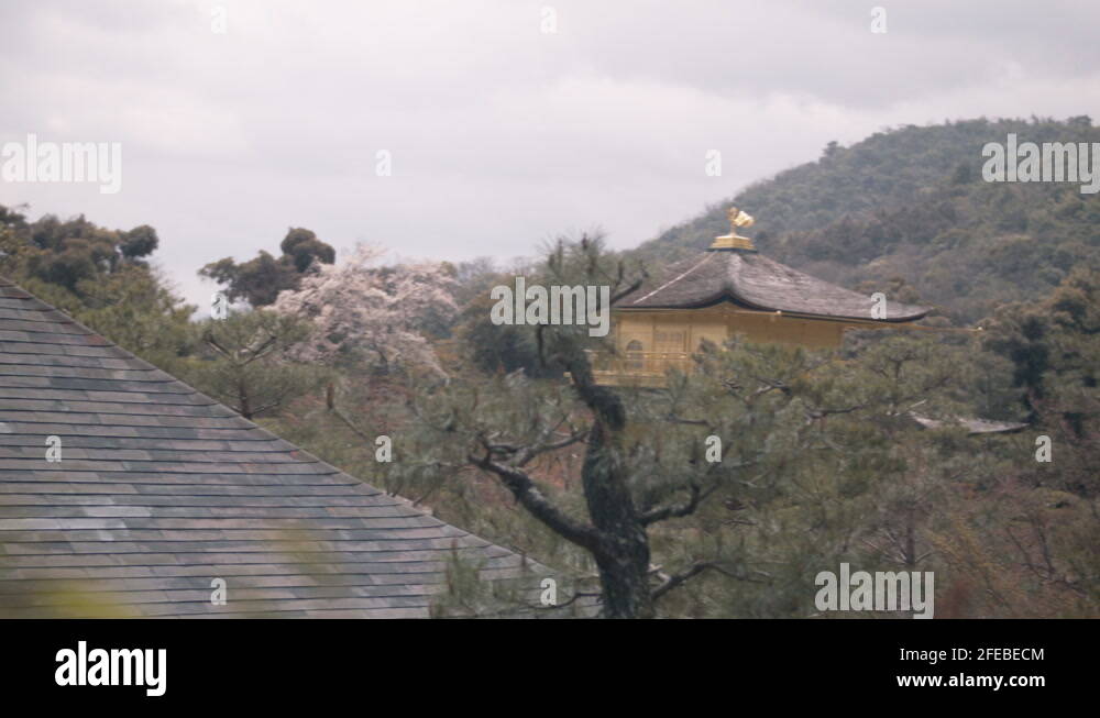 Golden shrine kyoto Stock Videos & Footage - HD and 4K Video Clips - Alamy