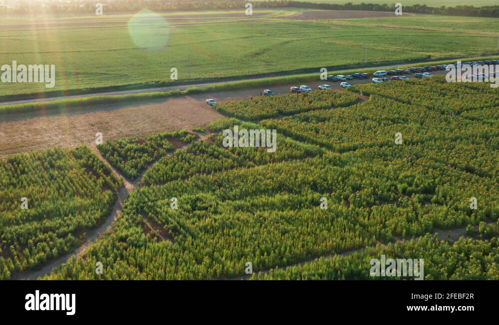 Rural parking Stock Videos & Footage - HD and 4K Video Clips - Alamy