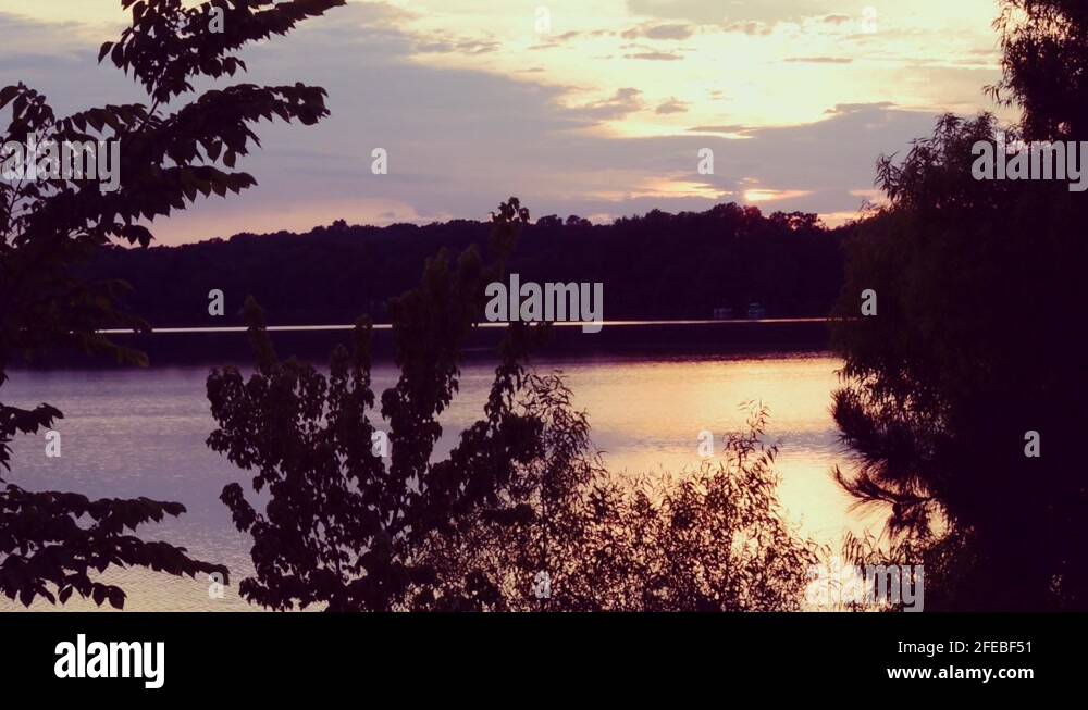 Gold and purple sky Stock Videos & Footage - HD and 4K Video Clips - Alamy