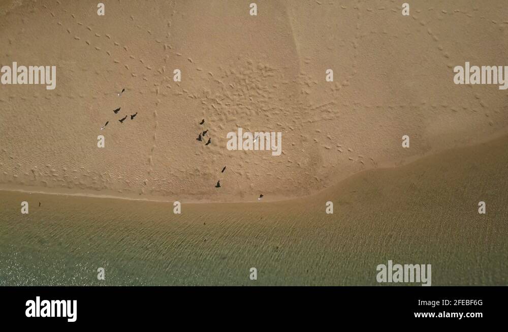 Australia birds eye view Stock Videos & Footage - HD and 4K Video Clips ...