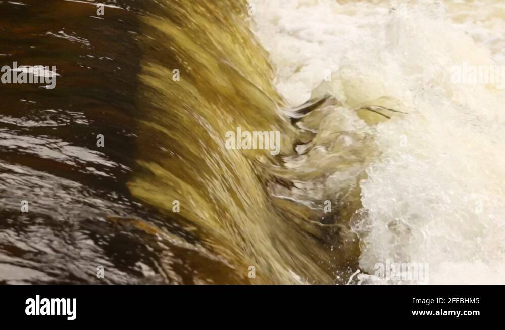 Du toitskloof river Stock Videos & Footage - HD and 4K Video Clips - Alamy