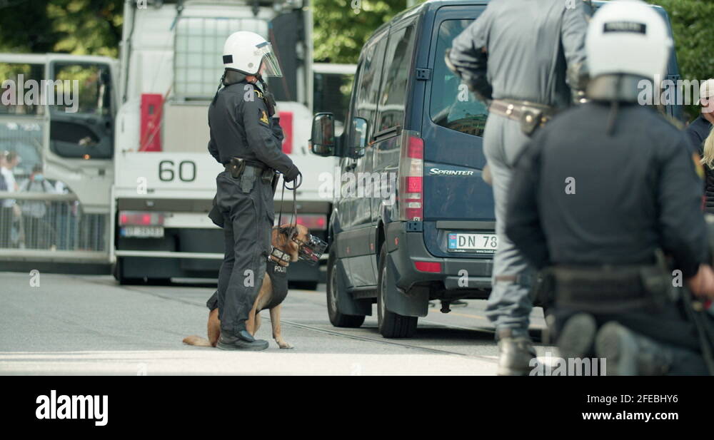 Norwegian police officer with K9 patrol dog during riot in Oslo Norway ...
