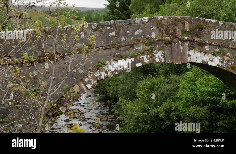Celts ancient Stock Videos & Footage - HD and 4K Video Clips - Alamy
