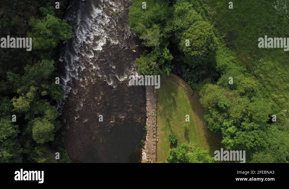 Generic Overhead Top Down Birds View Aerial of River Stream going ...