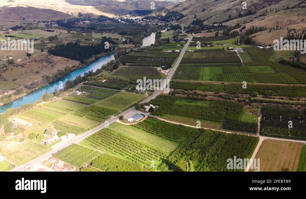 Cherry orchard new zealand Stock Videos & Footage - HD and 4K Video ...