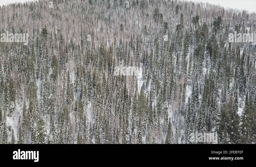 Winter in siberia Stock Videos & Footage - HD and 4K Video Clips - Alamy