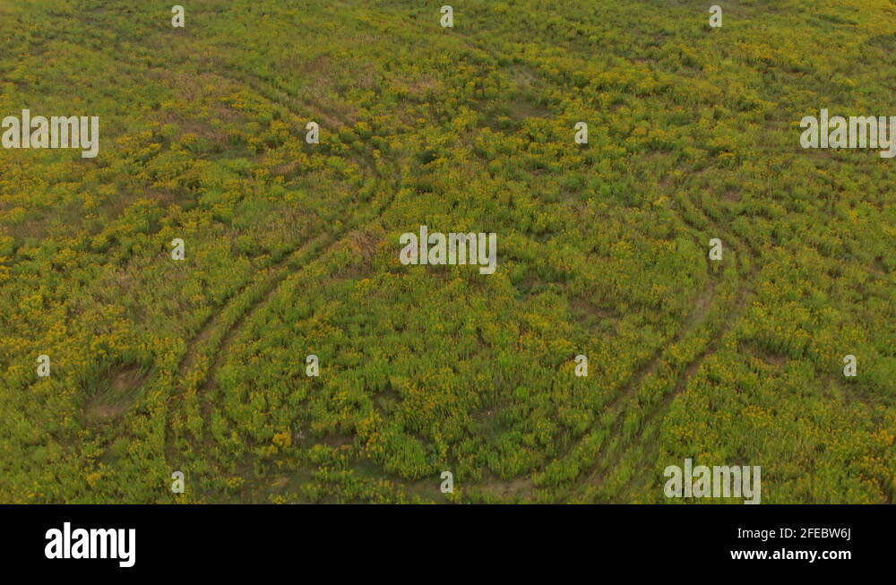 Meadow from above Stock Videos & Footage - HD and 4K Video Clips - Alamy