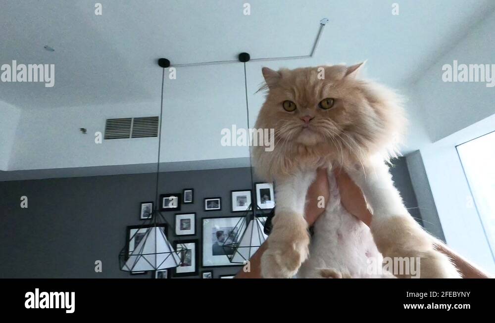 Turning room Stock Videos & Footage - HD and 4K Video Clips - Alamy