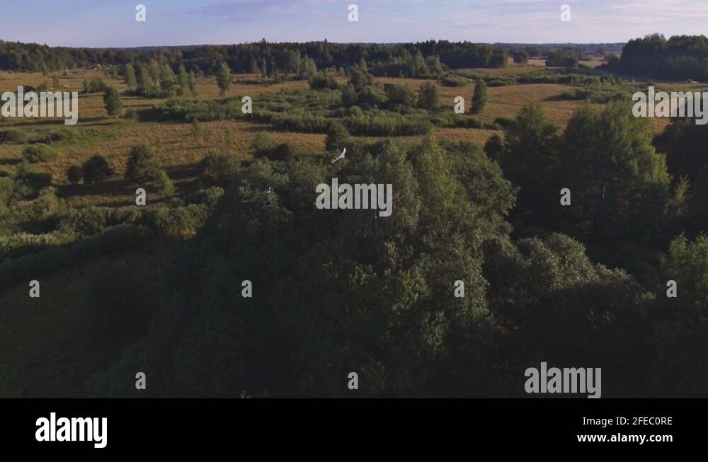 Fly squat Stock Videos & Footage - HD and 4K Video Clips - Alamy