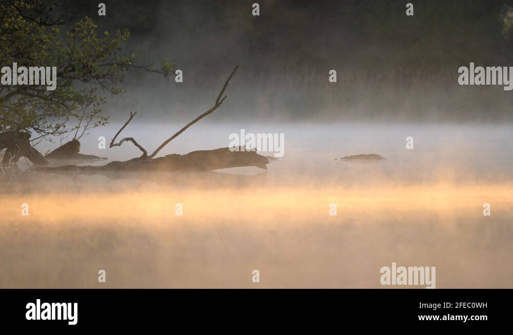 Orange beam Stock Videos & Footage - HD and 4K Video Clips - Alamy