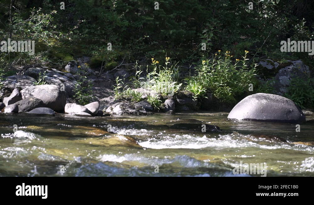 Yellow river rocks Stock Videos & Footage - HD and 4K Video Clips - Alamy