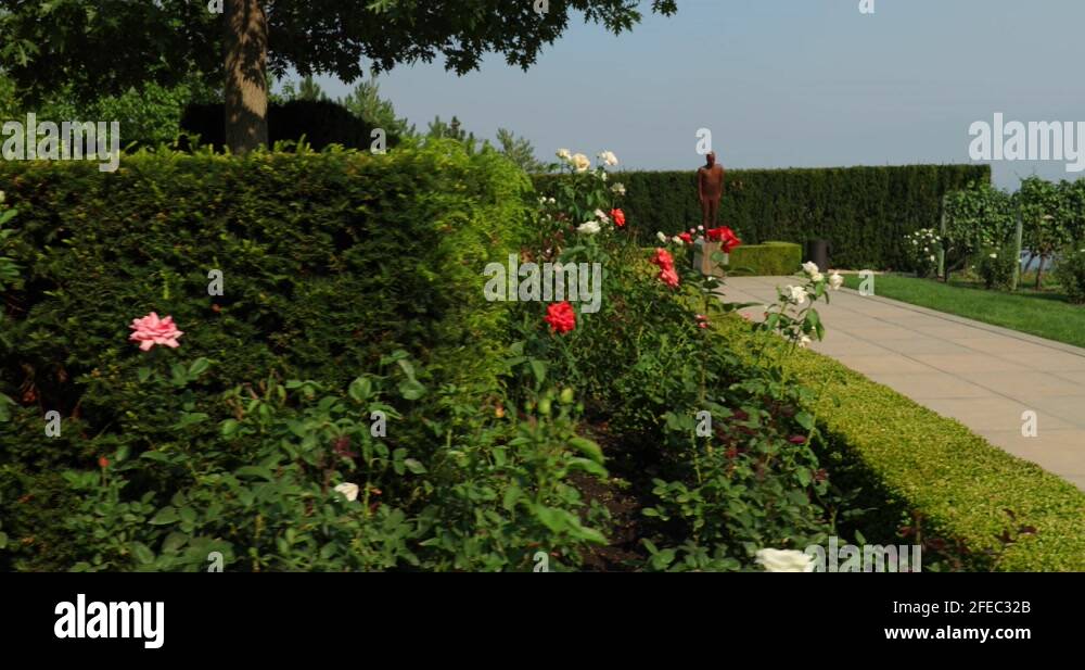 Hedged hedges Stock Videos & Footage - HD and 4K Video Clips - Alamy