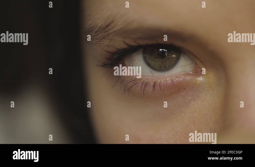 Angry eye illustration Stock Videos & Footage - HD and 4K Video Clips ...