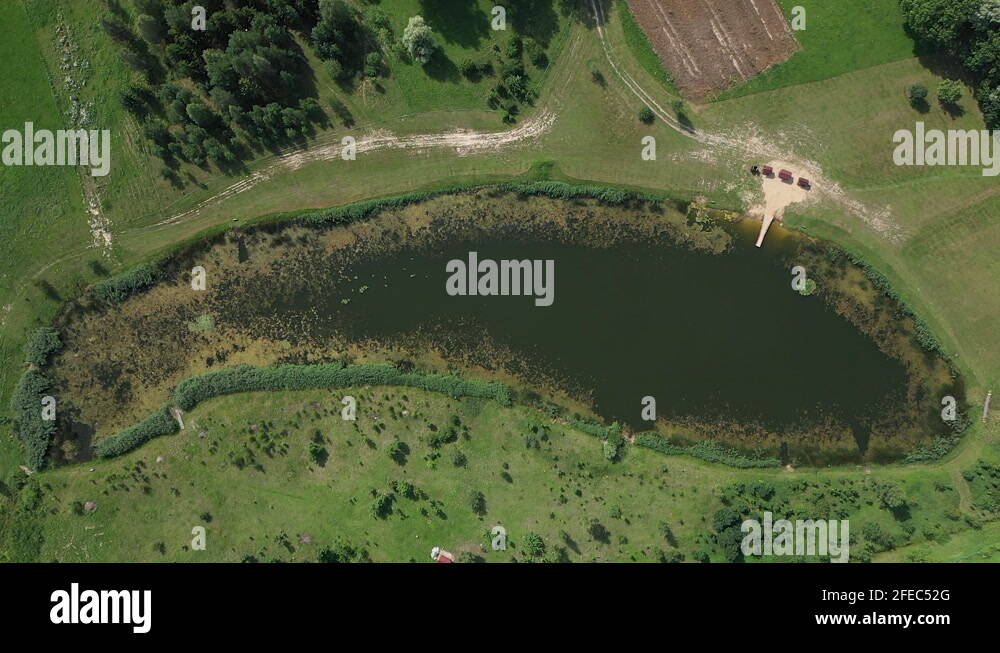 Bizarre fish Stock Videos & Footage - HD and 4K Video Clips - Alamy