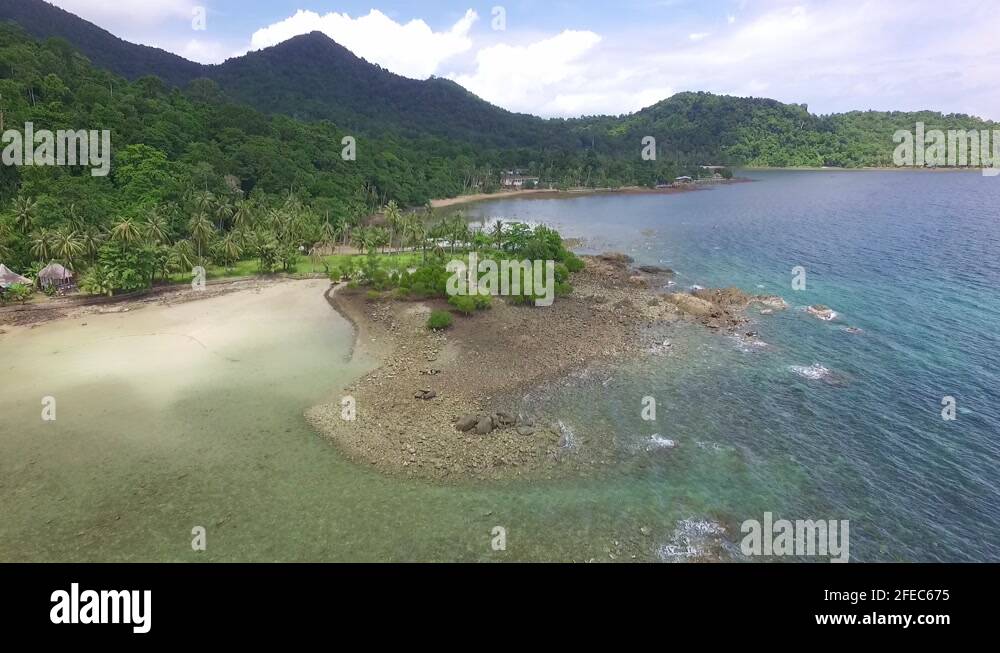 Mangroves palm trees Stock Videos & Footage - HD and 4K Video Clips - Alamy