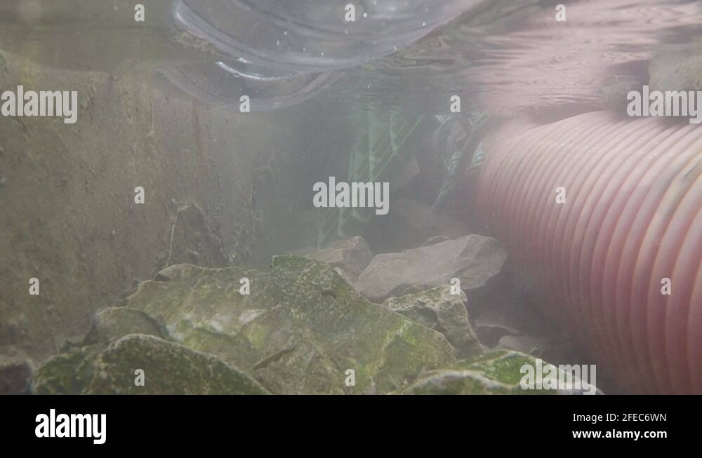 Trash in the water at a beach Stock Videos & Footage - HD and 4K Video ...