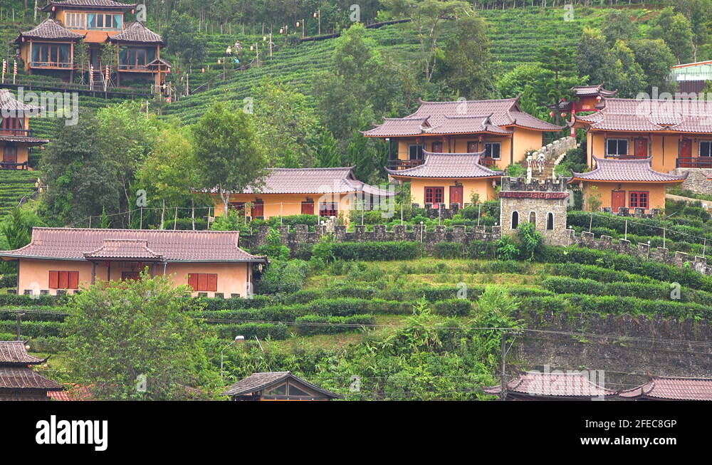 Rak rak rak Stock Videos & Footage - HD and 4K Video Clips - Alamy