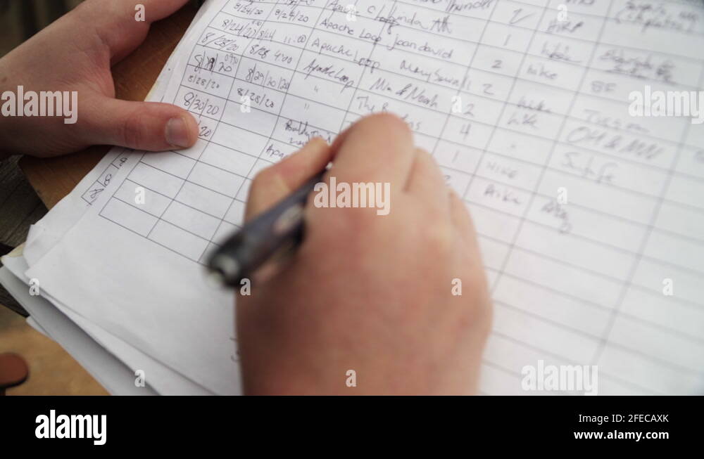 Trail log Stock Videos & Footage - HD and 4K Video Clips - Alamy