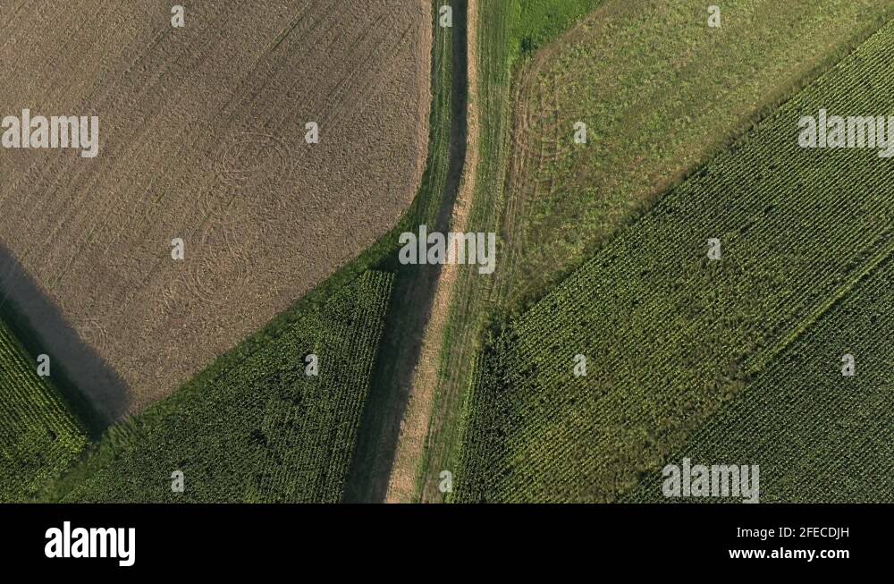 Field fields lines pattern patterns Stock Videos & Footage - HD and 4K ...