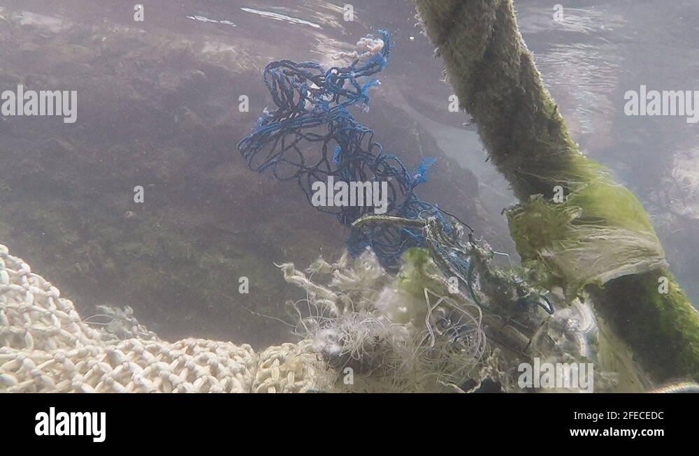 Underwater problems Stock Videos & Footage - HD and 4K Video Clips - Alamy