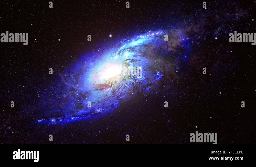 Animal in universe Stock Videos & Footage - HD and 4K Video Clips - Alamy