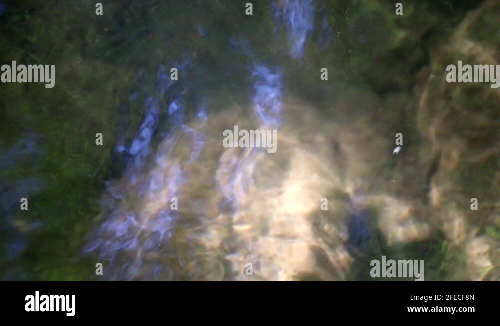 Shimmering river water flow reflecting blue sky, trees and dappled ...