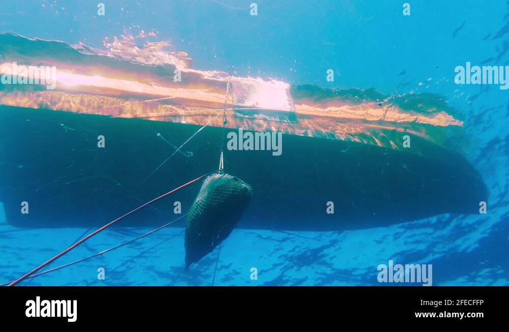 Scallop fishing boat Stock Videos & Footage - HD and 4K Video Clips - Alamy