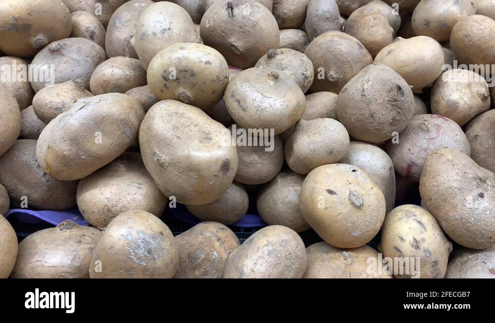 Root fruit Stock Videos & Footage - HD and 4K Video Clips - Alamy