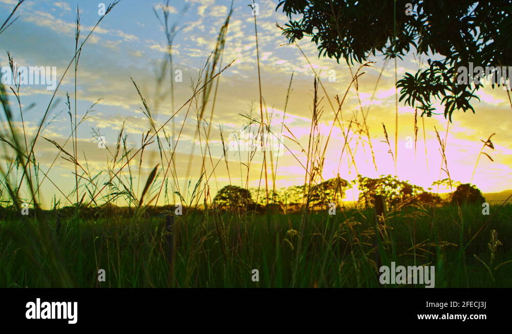 Australian landscape farm sunset Stock Videos & Footage - HD and 4K ...