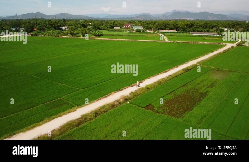 Paddy field and a road Stock Videos & Footage - HD and 4K Video Clips ...