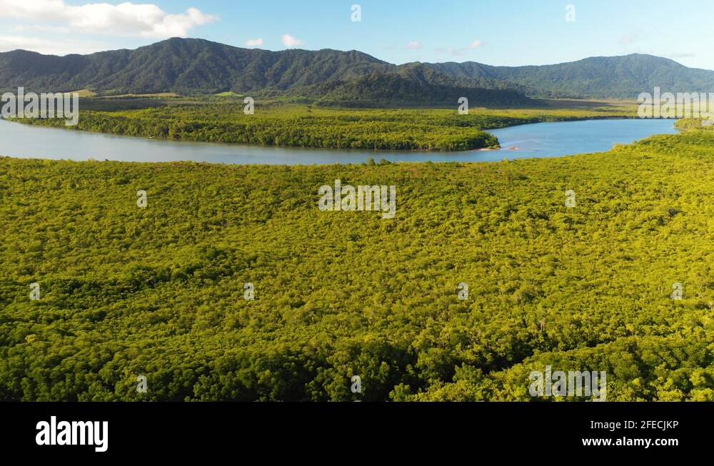 Daintree rainforest queensland Stock Videos & Footage - HD and 4K Video ...