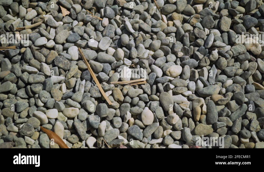 Pebble texture in concrete Stock Videos & Footage - HD and 4K Video ...