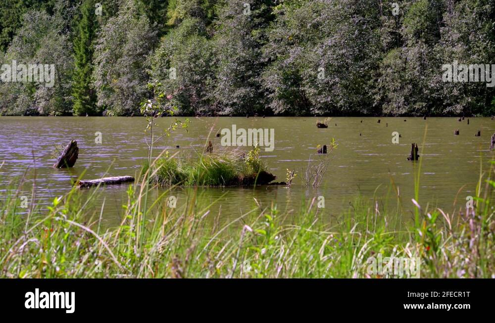 Lacul ro u Stock Videos & Footage - HD and 4K Video Clips - Alamy