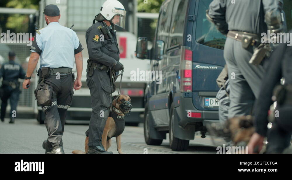 Norwegian police task leaders and riot officers with dog during left ...