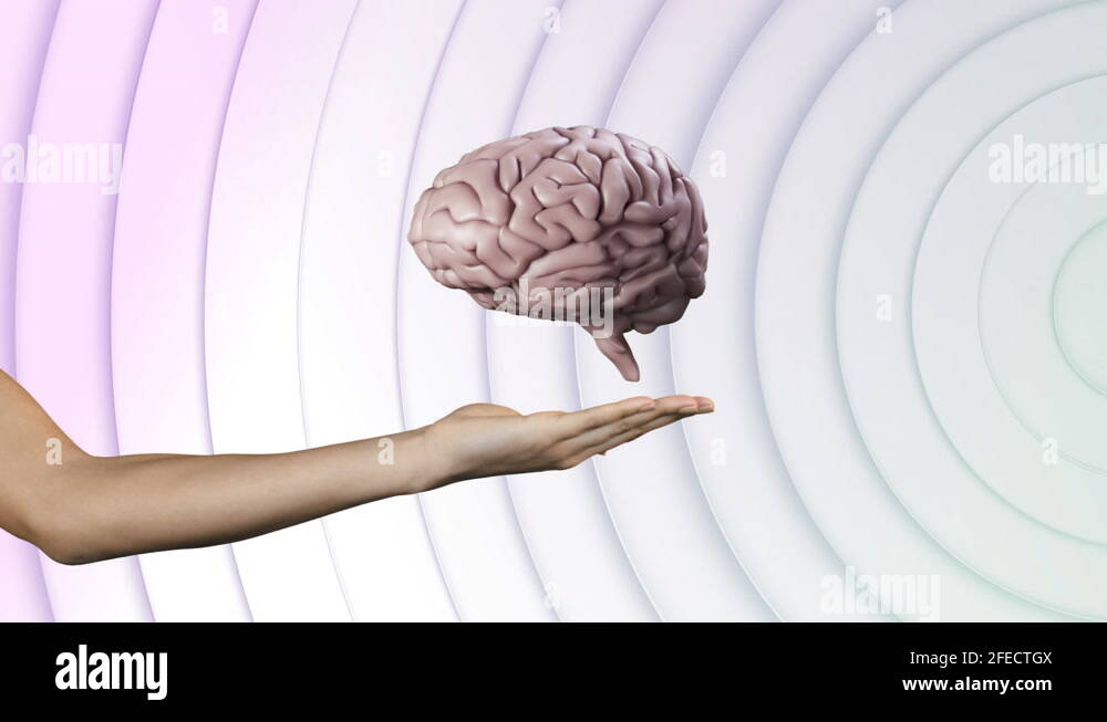 Real brain hand Stock Videos & Footage - HD and 4K Video Clips - Alamy