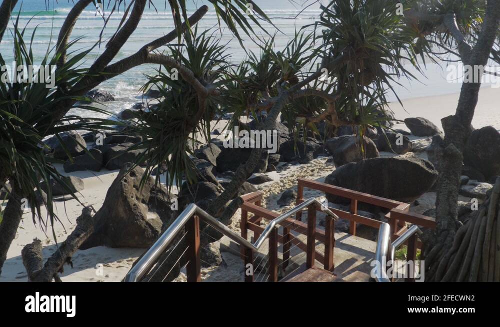 Beach pandanus Stock Videos & Footage - HD and 4K Video Clips - Alamy