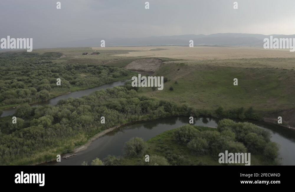 Horseshoe snake Stock Videos & Footage - HD and 4K Video Clips - Alamy