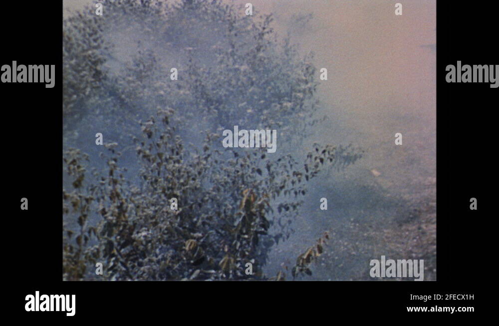 1960s: Soldiers fight in Vietnam. American soldiers walking through ...