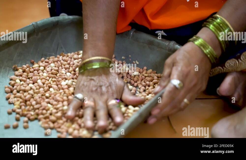 Winnowing seeds Stock Videos & Footage - HD and 4K Video Clips - Alamy